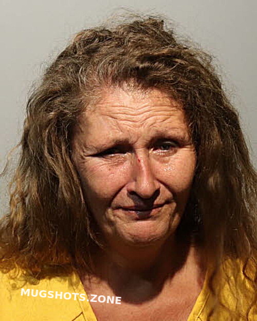 SHEILA LONG 06/05/2024 - Seminole County Mugshots Zone