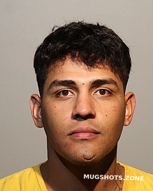 DILSON MELENDEZ-ARTIGAS 06/08/2024 - Seminole County Mugshots Zone