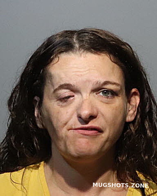 MICHELLE REESTER 06/20/2024 - Seminole County Mugshots Zone