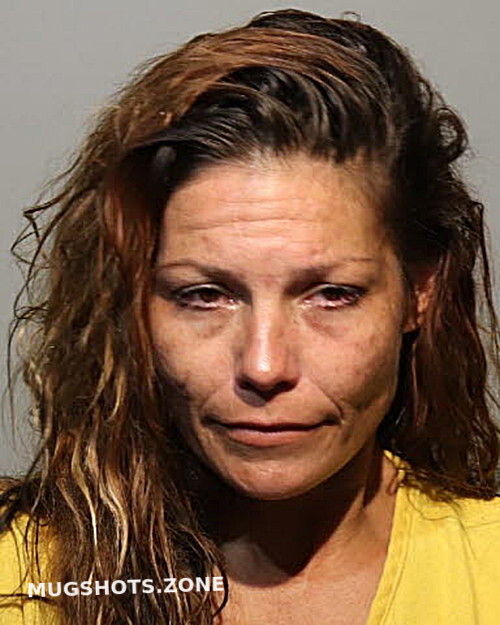 PATRICIA ASHWORTH 06/26/2024 - Seminole County Mugshots Zone