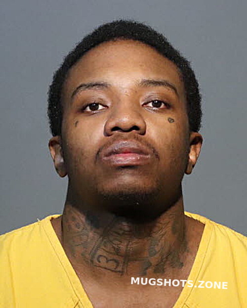 JAMIE LEE 06/28/2024 - Seminole County Mugshots Zone