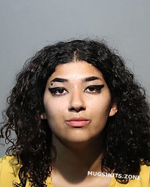 NATASHA LUIZ 07/04/2024 - Seminole County Mugshots Zone