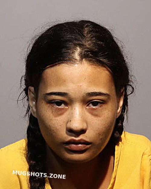 ANGELENA SCHMIDT 07/16/2024 - Seminole County Mugshots Zone