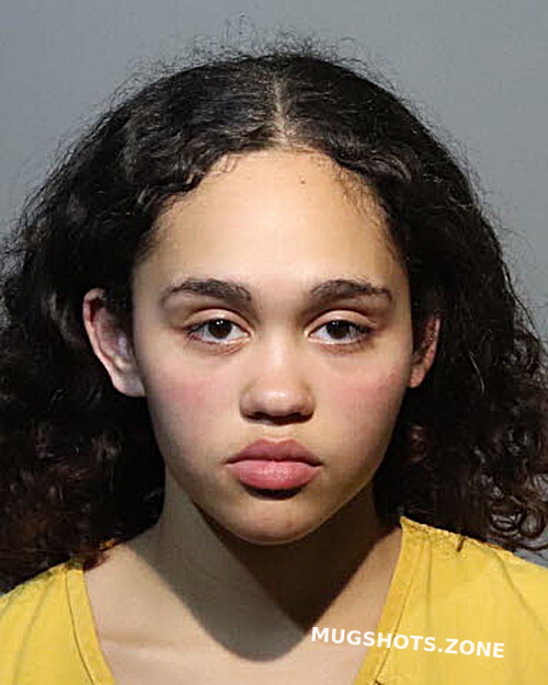 GENESIS ALVAREZ 07/23/2024 - Seminole County Mugshots Zone