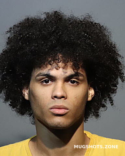 RAUDY DIAZ MARTE 08/06/2024 - Seminole County Mugshots Zone