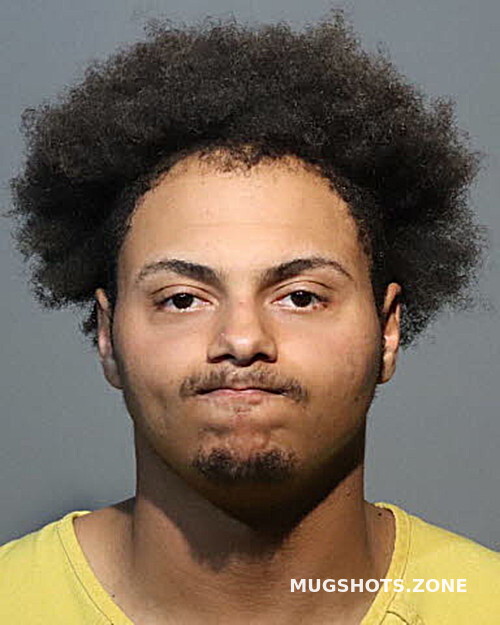 DWAYNE DAVIS 08/15/2024 - Seminole County Mugshots Zone