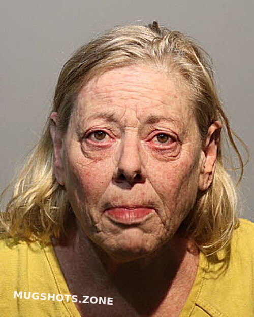 DEBRA MCDANIEL 08/16/2024 - Seminole County Mugshots Zone