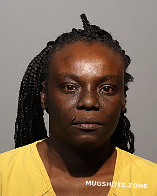 SABRINA ELLISON 08/18/2024 - Seminole County Mugshots Zone