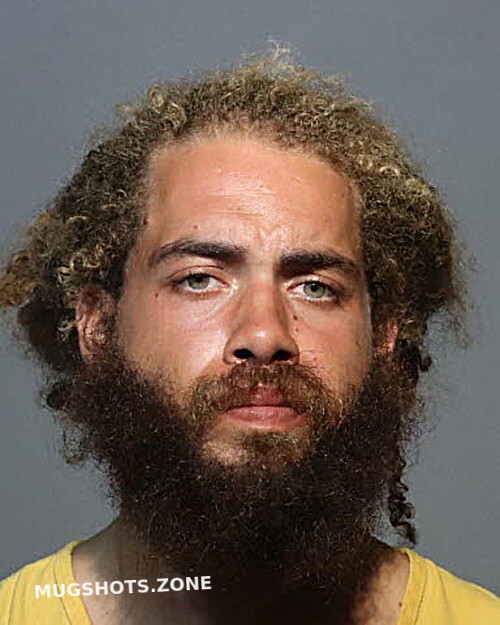 HANS NELSON 08/23/2024 - Seminole County Mugshots Zone