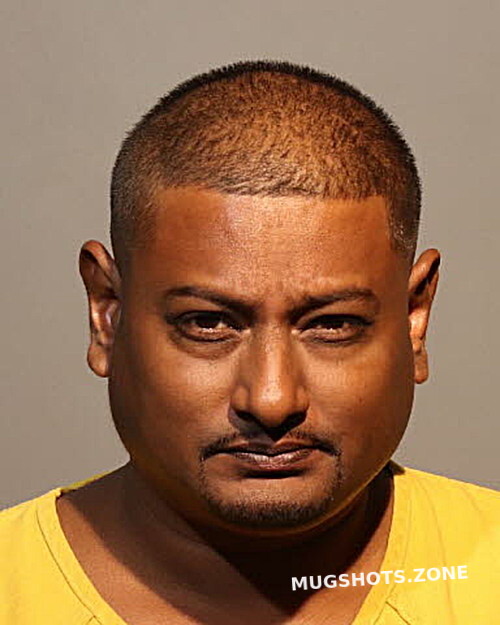 NARINDAT JAGDHARRY 08/26/2024 - Seminole County Mugshots Zone