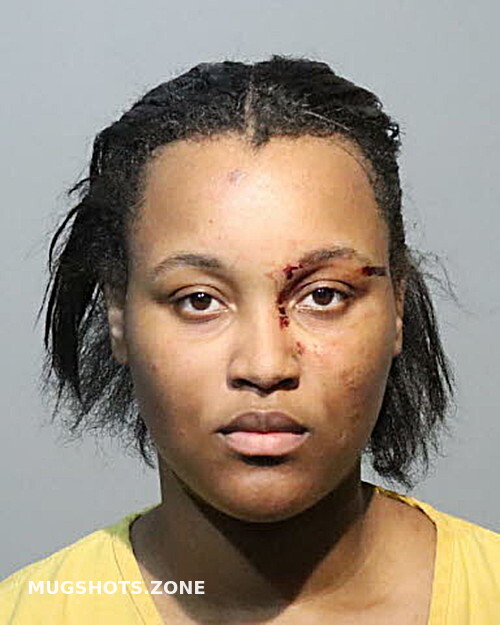 RENEE PECK 10/22/2024 - Seminole County Mugshots Zone