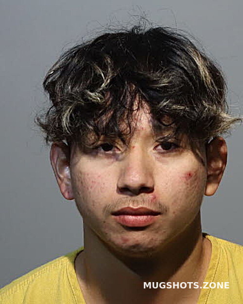 BRYAN MARTINEZ CASTELLANOS 11/16/2024 - Seminole County Mugshots Zone