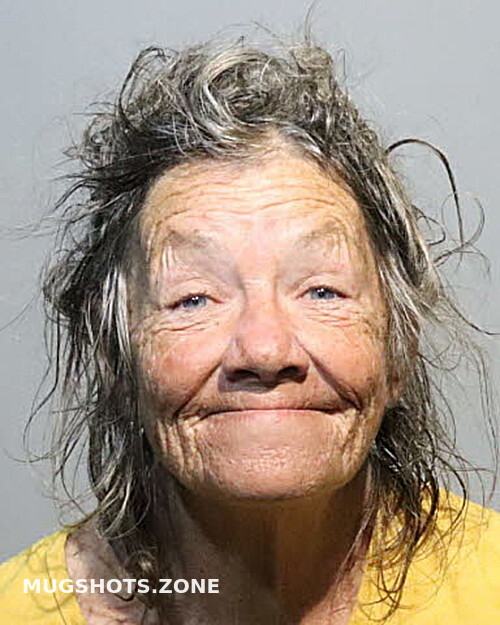 SHARON DAFFRON 11/18/2024 - Seminole County Mugshots Zone
