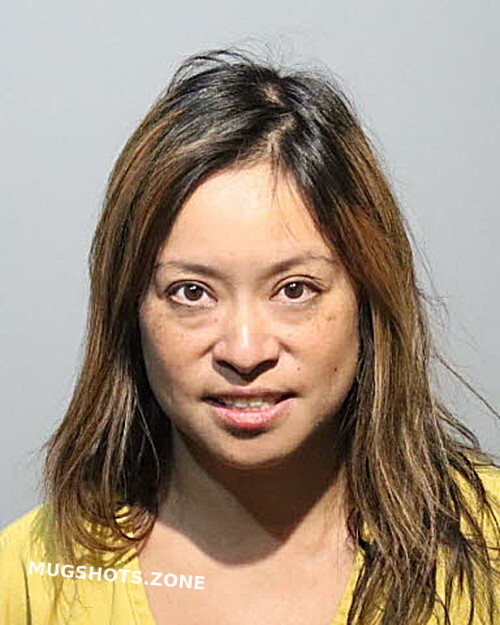 STEPHANIE JOHNSON 11/18/2024 - Seminole County Mugshots Zone