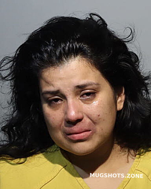 EVA ARTEAGA 11/20/2024 - Seminole County Mugshots Zone