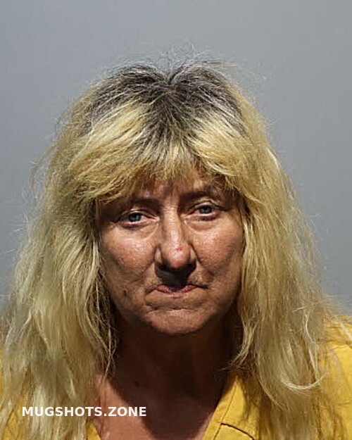 SANDRA MORRIS 11/21/2024 - Seminole County Mugshots Zone