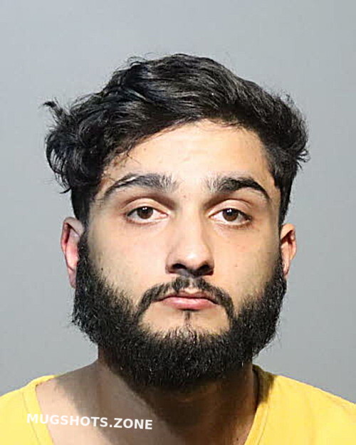 AUSTIN PERSAUD 11/23/2024 - Seminole County Mugshots Zone