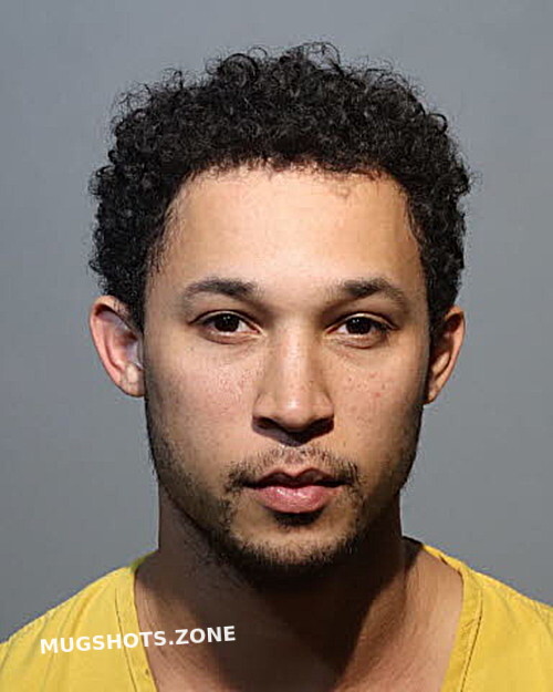 MICHAEL HOLLEY 11/29/2024 - Seminole County Mugshots Zone