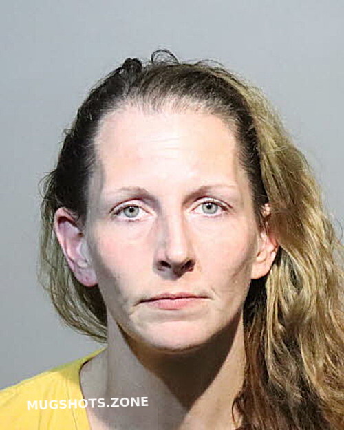 ASHLEY DYE 11/29/2024 - Seminole County Mugshots Zone