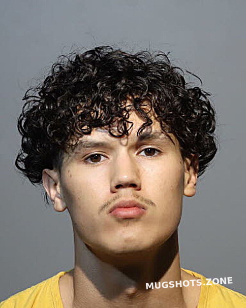 EMIL MOLDRIK 11/30/2024 - Seminole County Mugshots Zone