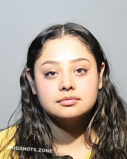DEBORAH CHAVEZ 12/02/2024 - Seminole County Mugshots Zone