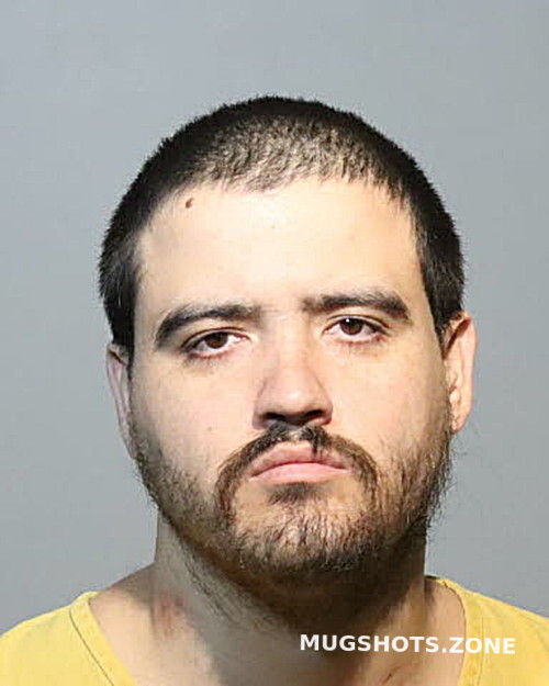 NICHOLAS JOY 01/08/2025 - Seminole County Mugshots Zone