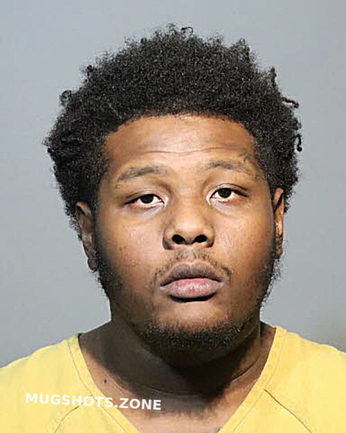 LOUIS ALLEN 01/14/2025 - Seminole County Mugshots Zone