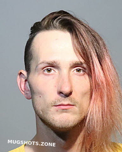 ISAIAH LONG 01/19/2025 - Seminole County Mugshots Zone