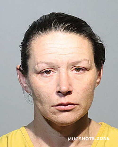 ADA COOK 01/23/2025 - Seminole County Mugshots Zone