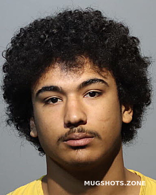 EDRICK DIAZ FERRER 02/23/2025 - Seminole County Mugshots Zone