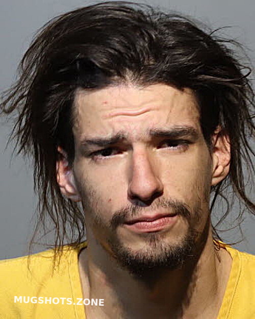 ANTHONY LEE 03/09/2025 - Seminole County Mugshots Zone