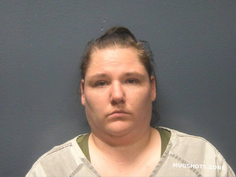 WILSON AMANDA D 11/18/2024 - Sevier County Mugshots Zone