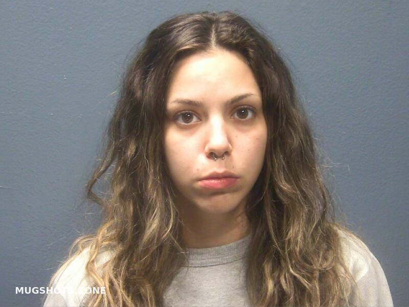 CLARK MADISON 03/08/2025 - Sevier County Mugshots Zone