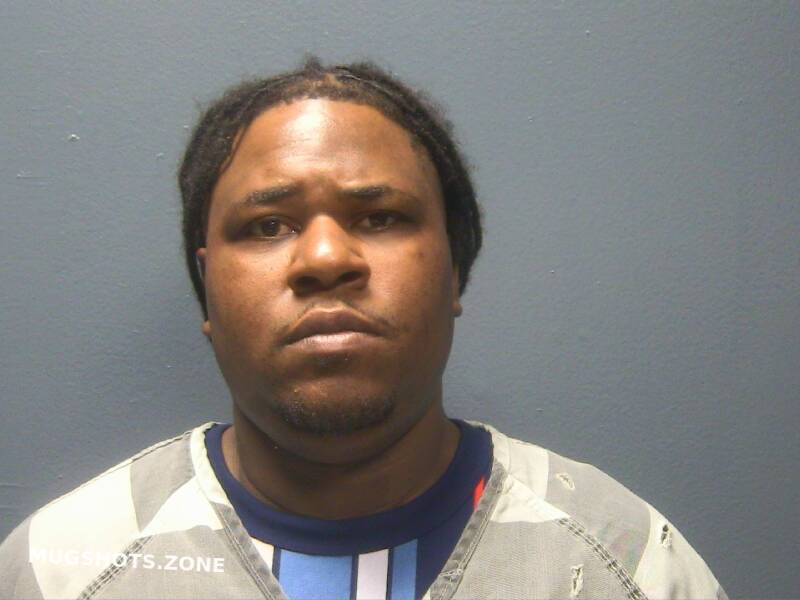 FREEMAN TERRANCE D 03/14/2025 - Sevier County Mugshots Zone