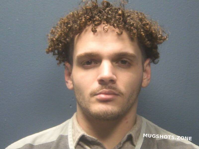 THOMAS ALEXANDER D 03/22/2025 - Sevier County Mugshots Zone