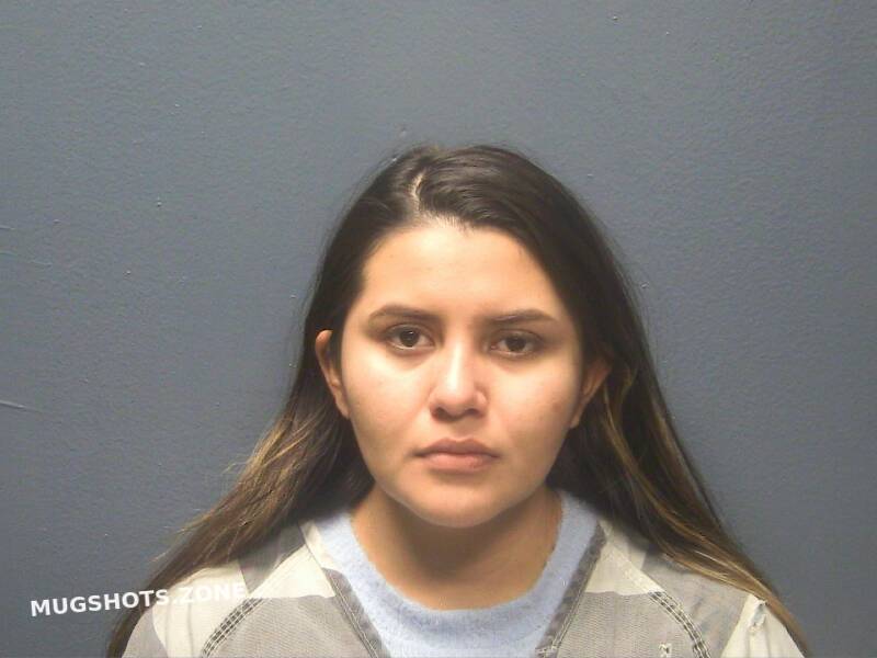 AGUIAR-SAHONA LAURA C 03/23/2025 - Sevier County Mugshots Zone