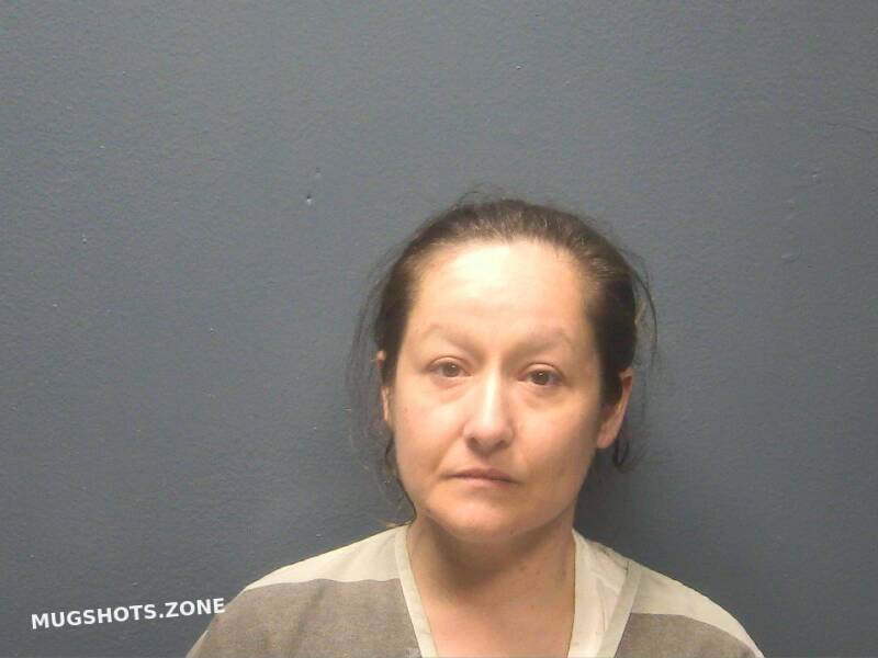 CARR ASHLEY P 03/31/2025 - Sevier County Mugshots Zone