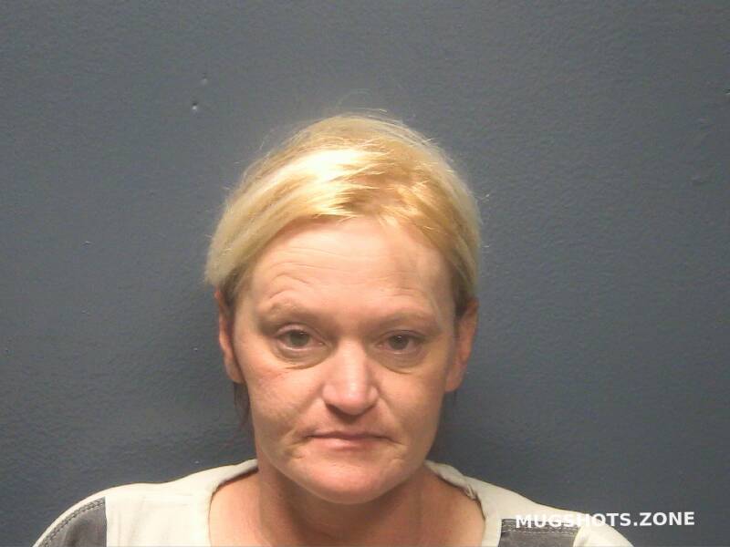 WILSON ASHLEY N 05/05/2025 - Sevier County Mugshots Zone