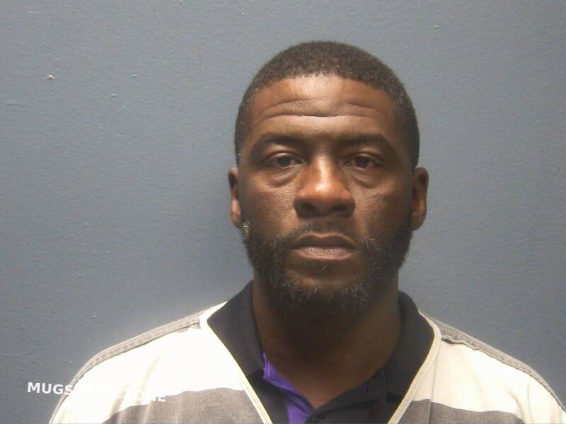 MARTIN RONALD 05/28/2025 - Sevier County Mugshots Zone