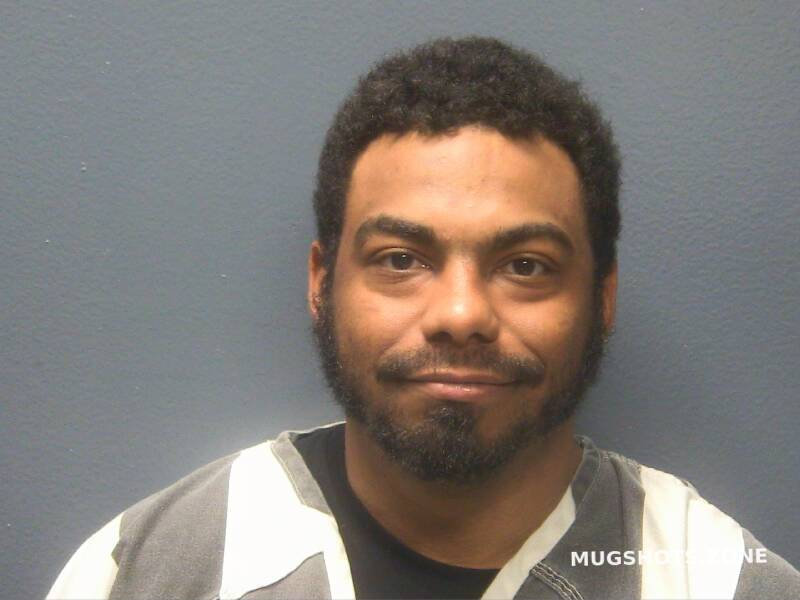 NEWTON DILLON R 10/03/2025 - Sevier County Mugshots Zone