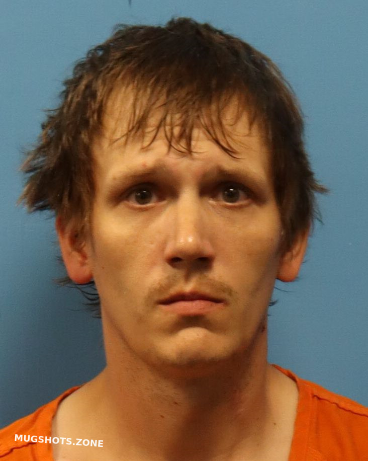 MORGAN JACOB LEE 06/29/2024 - Shelby County Mugshots Zone