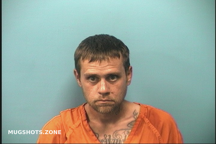 RILEY TIMOTHY ALLEN 08/10/2024 - Shelby County Mugshots Zone