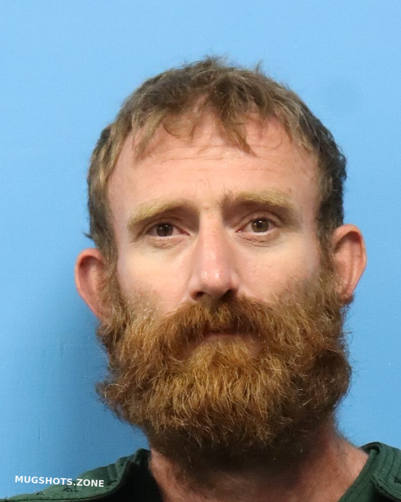 TEAL BRIAN EARL 10/15/2024 - Shelby County Mugshots Zone