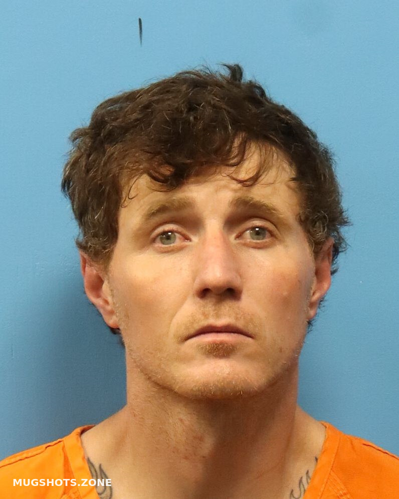 WOODS JOSHUA LEE 11/26/2024 - Shelby County Mugshots Zone