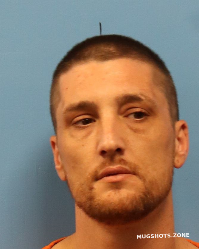 REID ADRIAN LOUIS JR 01/29/2025 - Shelby County Mugshots Zone