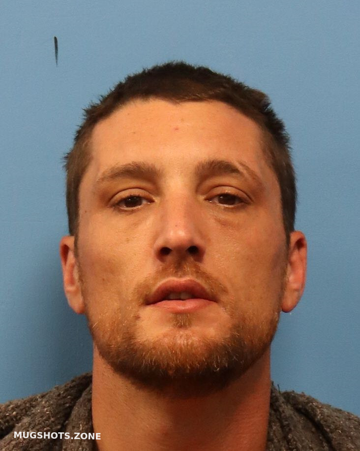 REID ADRIAN LOUIS 01/29/2025 - Shelby County Mugshots Zone