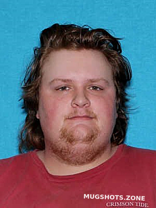 REINHARDT MATTHEW CHASE 01/30/2025 - Shelby County Mugshots Zone