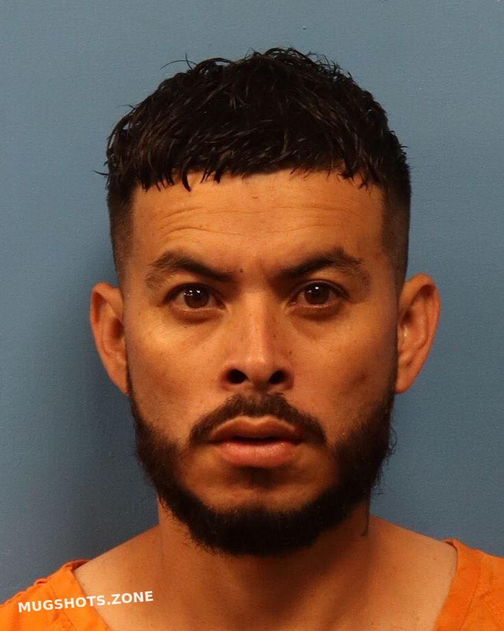 POSAS-MEIJA JAVIER ENRIQUE 06/17/2025 - Shelby County Mugshots Zone