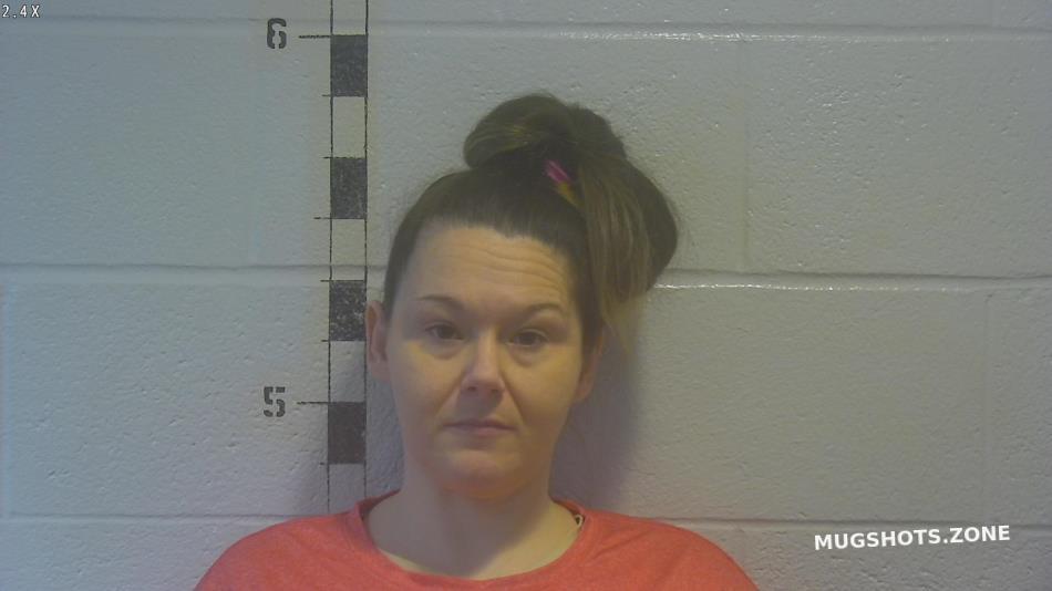 REED AMANDA RENEE 12/29/2022 - Shelby County Mugshots Zone