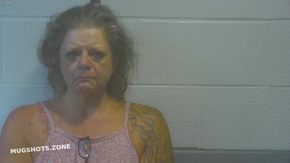 DOTSON MELISSA CAROL 05/11/2023 - Shelby County Mugshots Zone